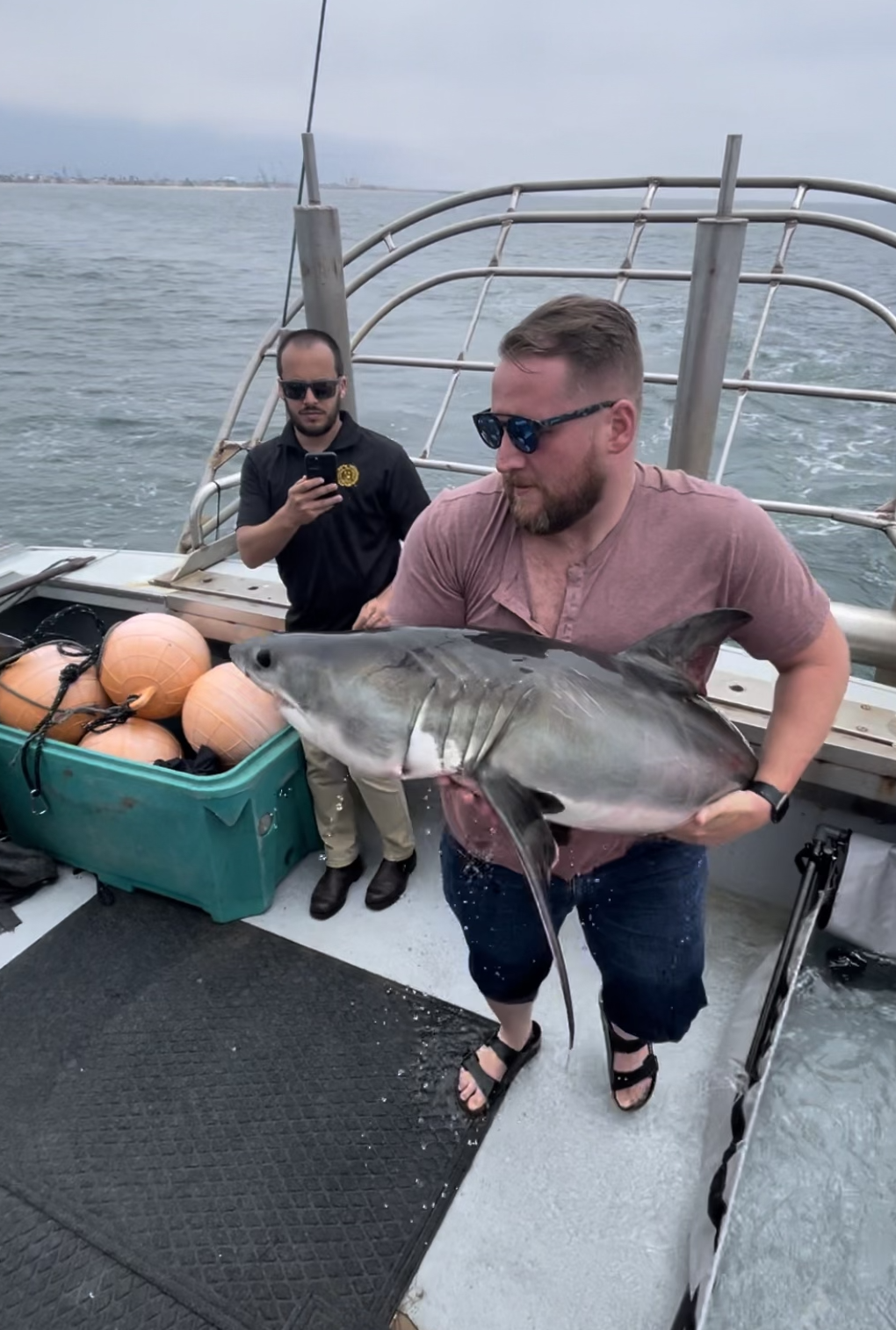 Juvenile White Shark Habitat Expansion to the Channel Islands Published ...